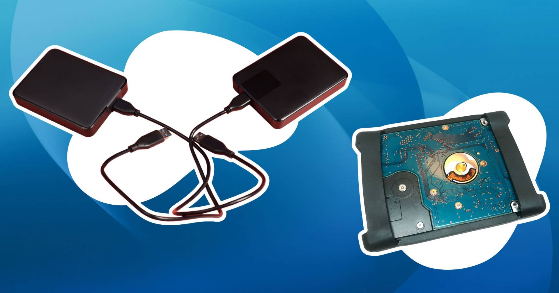 The 10 Best Wd Hard Drive Of 2026, Researched By Us