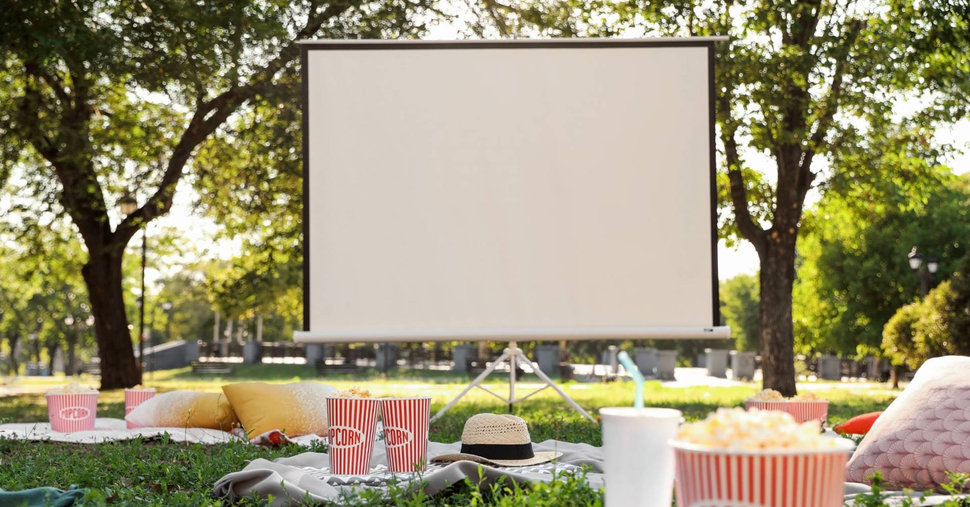 The Best Portable Outdoor Projector Screen For 2026