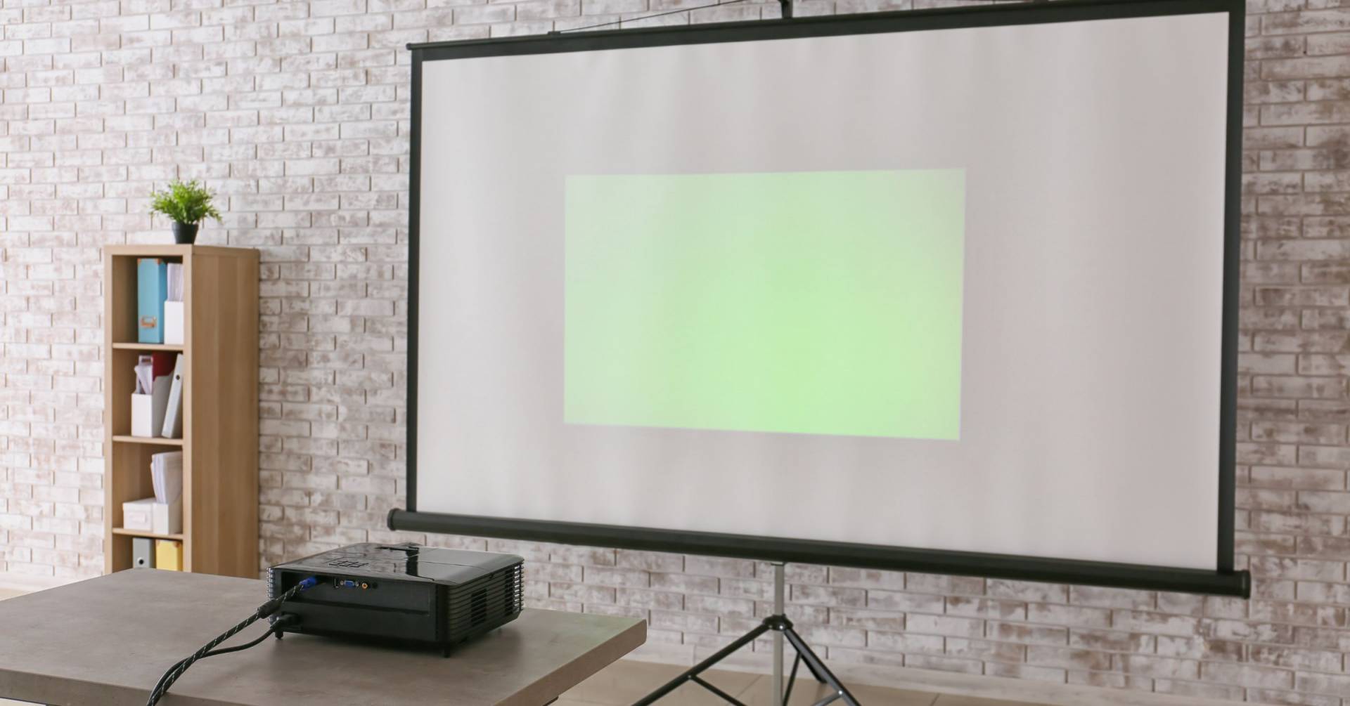 The Best Rear Projection Screen For 2026